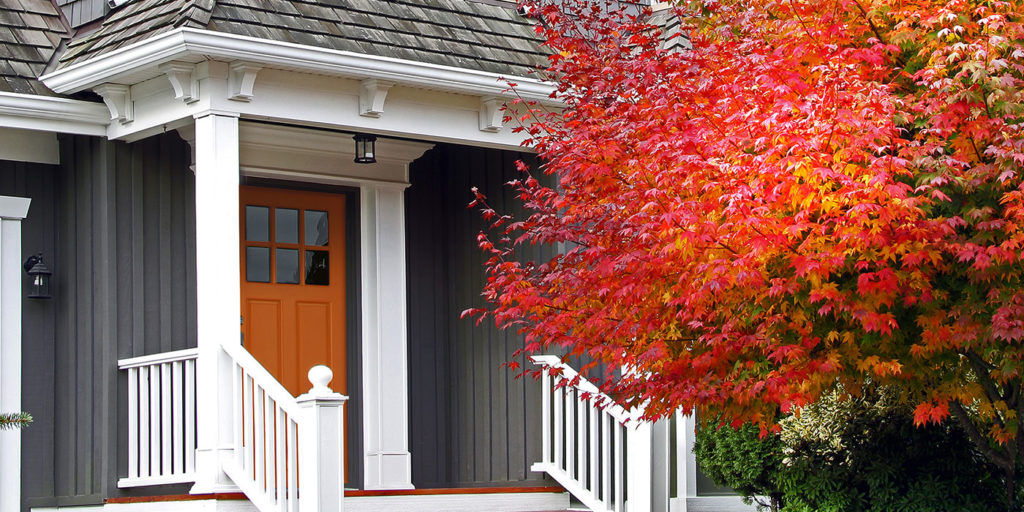 Combine doors & windows for a custom look - TIMBER MART