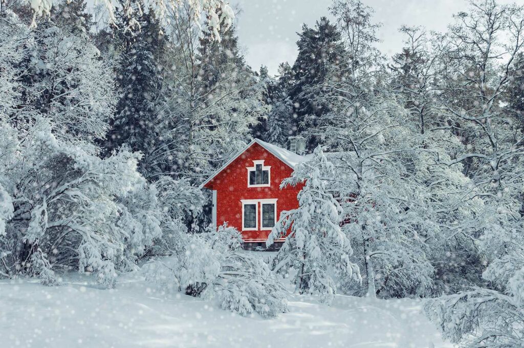 6 types of drywall mud - TIMBER MART