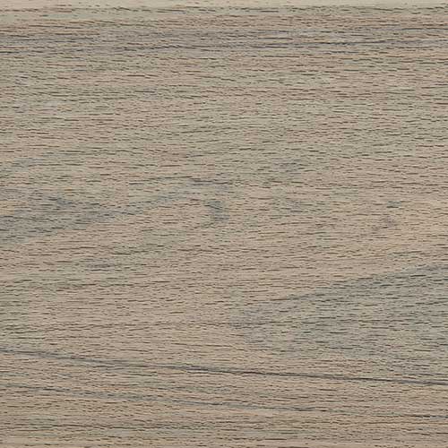 Next generation of Trex | Project Of The Month