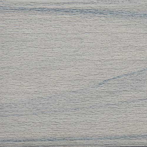 Next generation of Trex | Project Of The Month